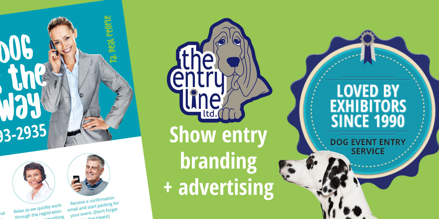 Explore The Entry Line in this Marketing Case Study - Mindspin